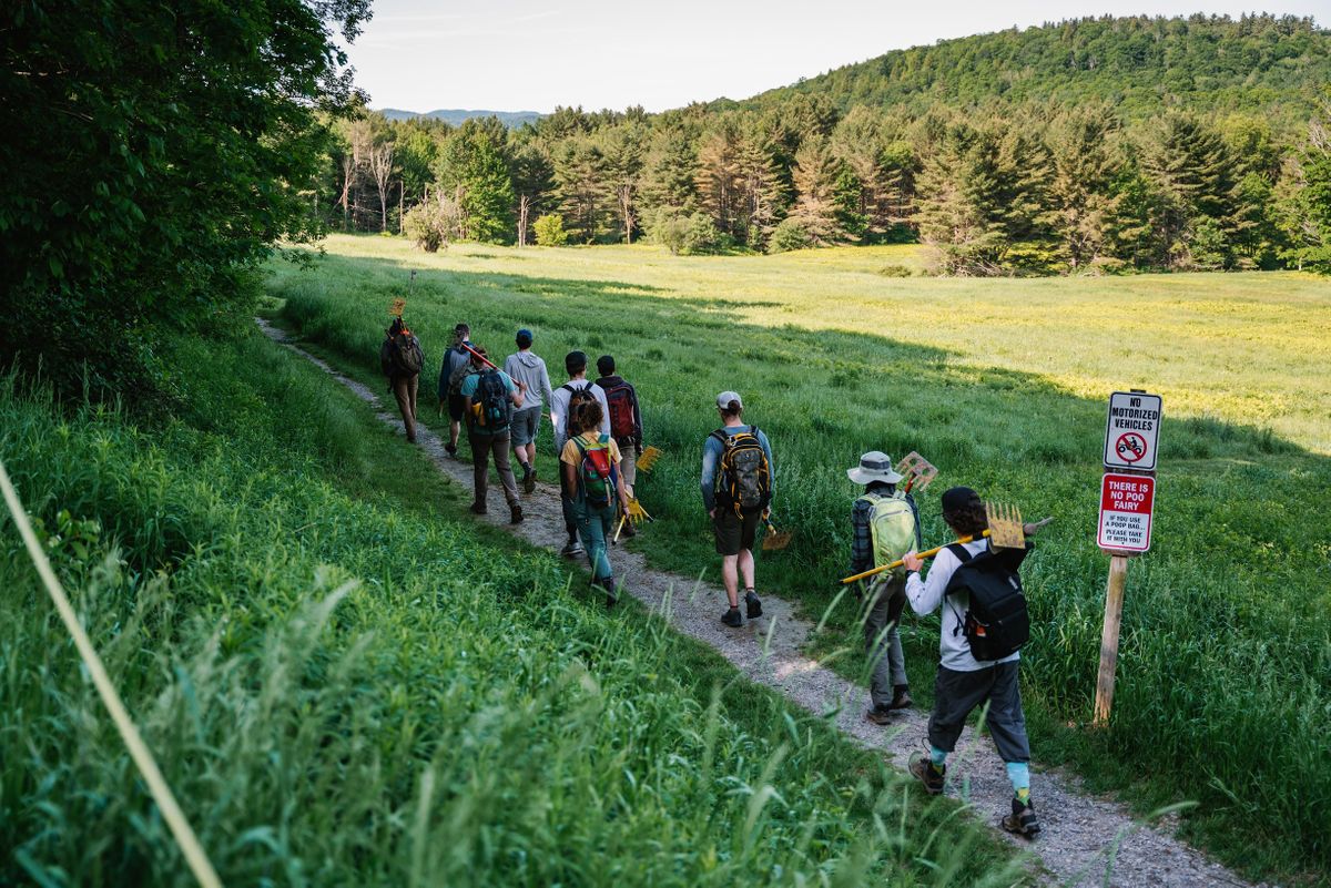 June 3rd Volunteer Trail Day at Saxon Hill, Saxon Hill Bike Trail, Essex, 3 June 2023