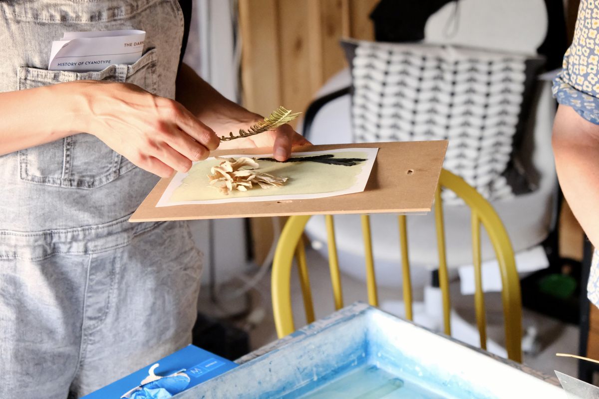 CYANOTYPE WORKSHOP WITH EMILY ROSE PARRIS FROM DARK ROOM, Albion House ...