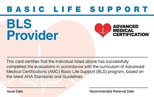 American Heart Association Basic Life Support CPR & AED, USF Health The ...