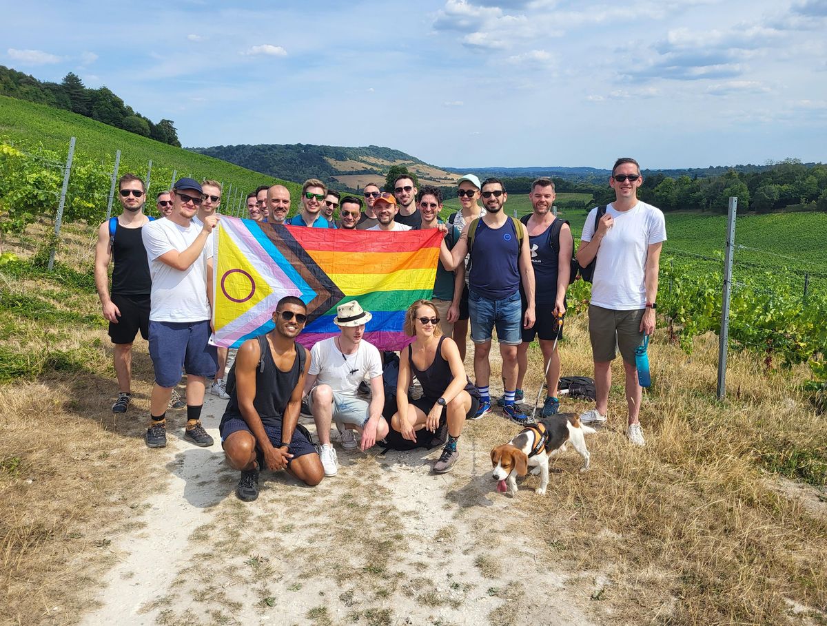 Trek/Fit Scenic Hikes: Reigate Hill, Box Hill, And the Pilgrims Way ...