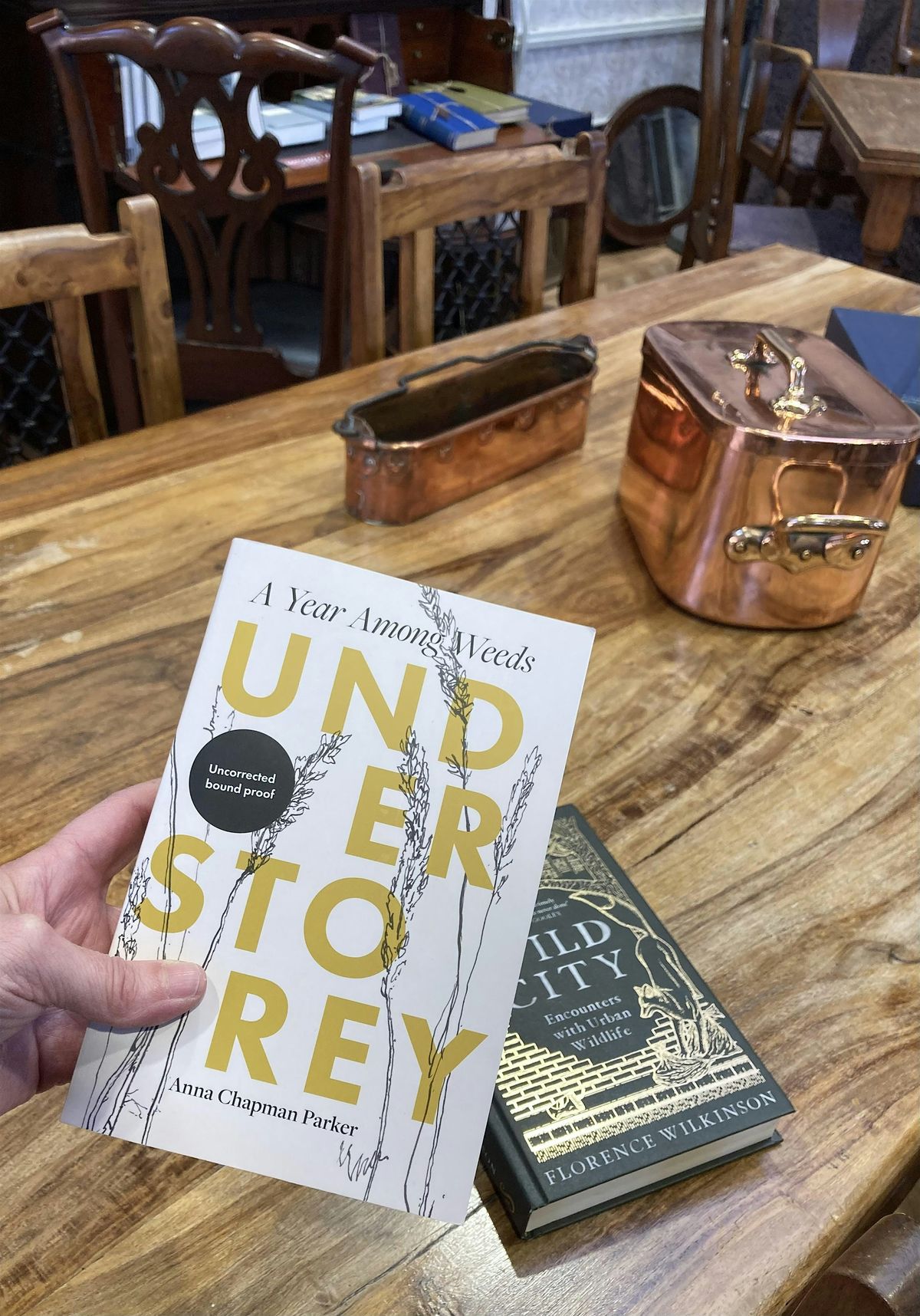 Understorey - In conversation with Anna Chapman and Florence Wilkinson ...