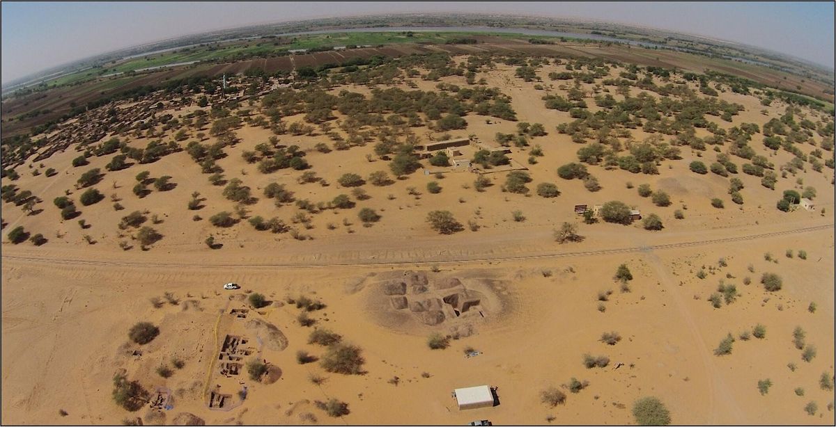 Professor Beno Rothenberg Memorial Lecture 2023, UCL Institute of ...