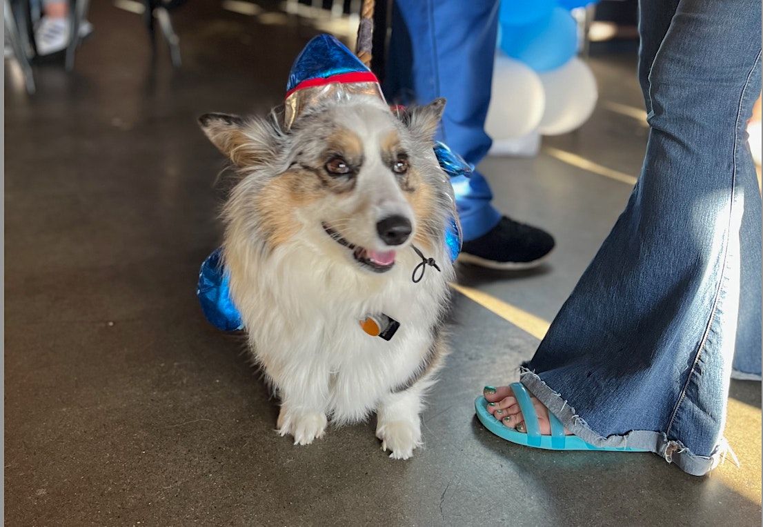 Friday the 13th Dog Costume Contest at The Woods, The Woods - Two Beers ...