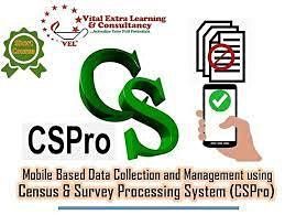 Mobile Based Data Collection and Management using CSPro, Vital Extra Learning Center, Pretoria ...