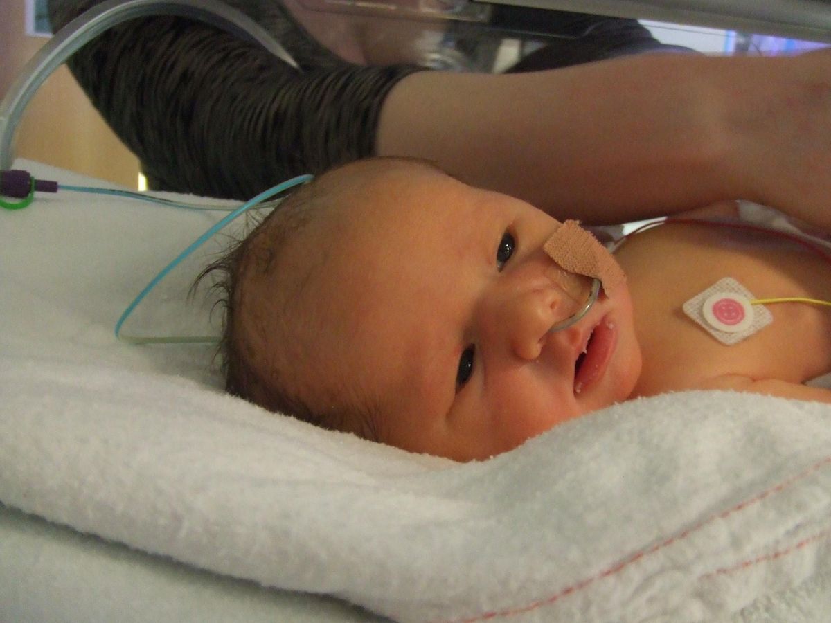 A Survival Guide to Neonatal Intensive Care - 3rd October 2022 ...
