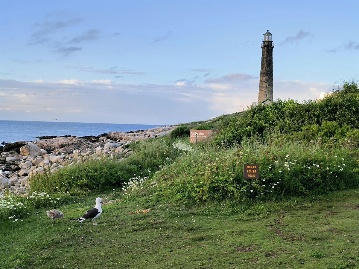 Events & Happenings in Rockport, MA