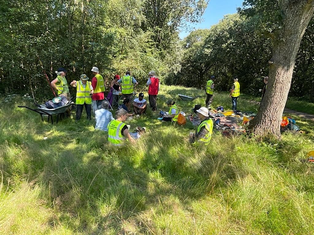 Conservation training with Barn Hill Conservation Group series 2 autumn ...