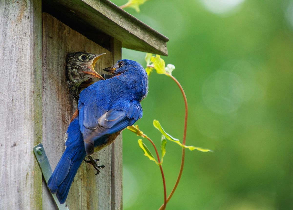Wolf Trap National Park Spring Walk and Learn, Wolf Trap National Park ...