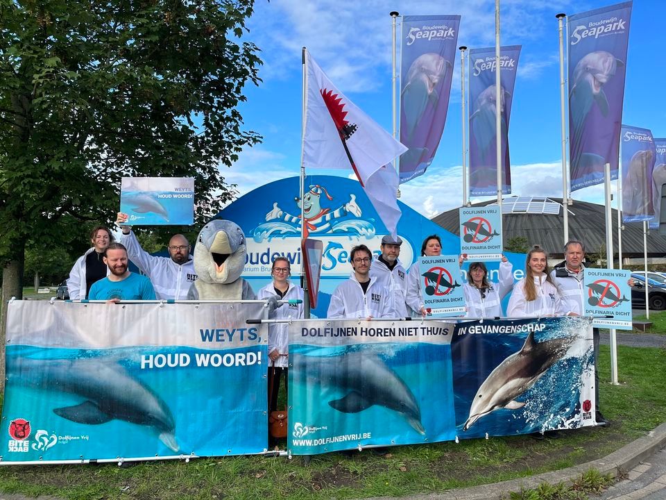 Lezing De restauratie van de schilderijen in de Romeinse zaal van Hof ...