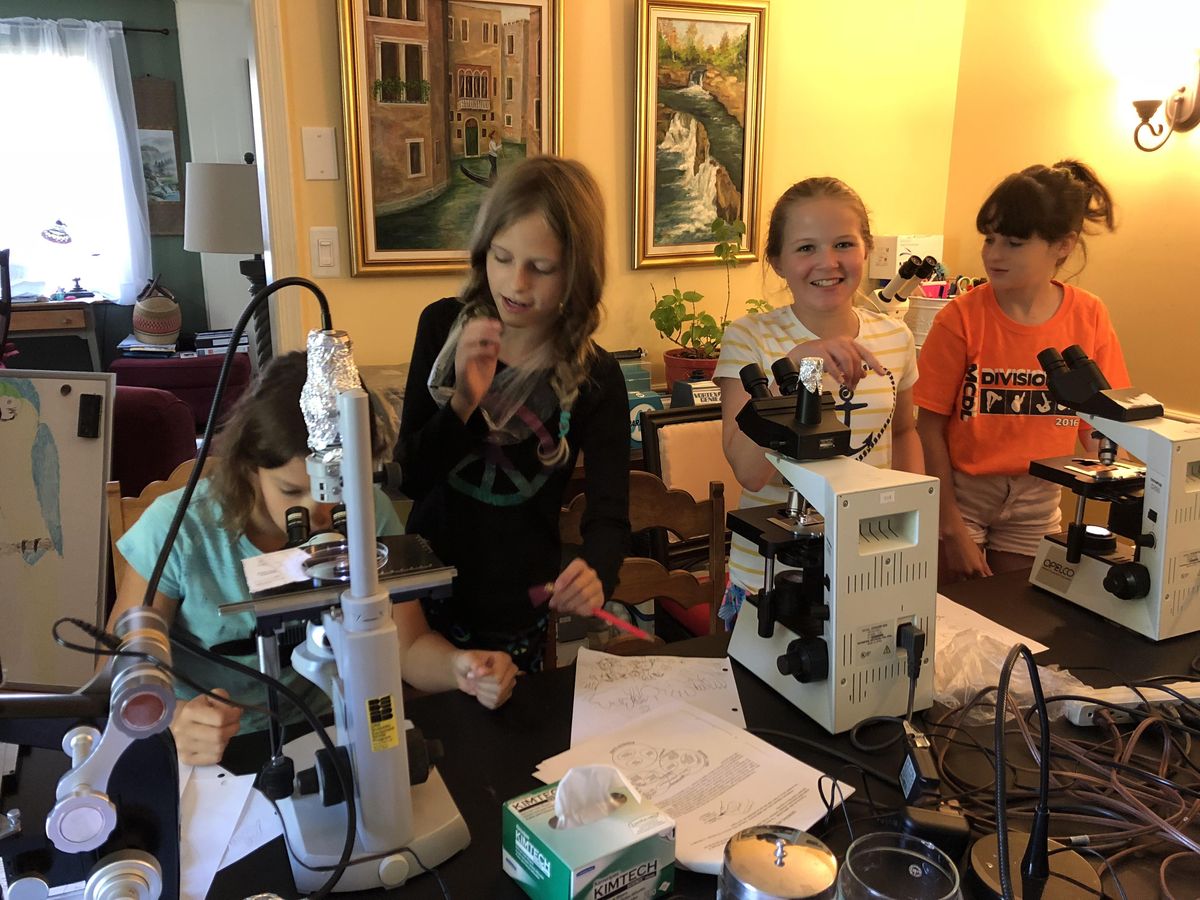 Second level Microscopy class, Rockville Memorial Library - Maker Space ...