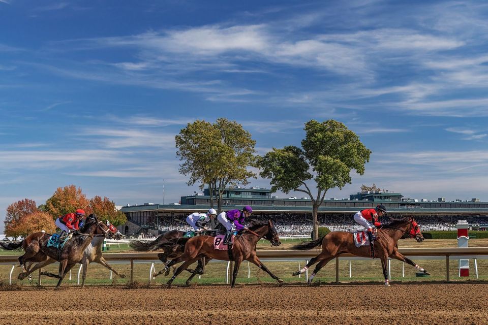 Keeneland Fall Meet 2023, 4201 Versailles Rd, Lexington, KY 40510-9662 ...