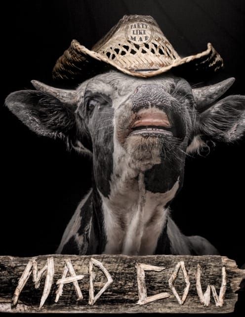 Mad cow with Darren Cassidy, Jim Foster and Randy Shepherd Tickets ...