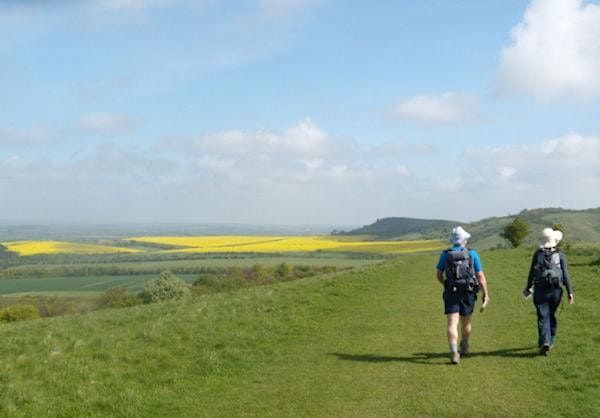 IVINGHOE BEACON CIRCULAR WALK | SATURDAY WALKING, Euston, London, 21 ...