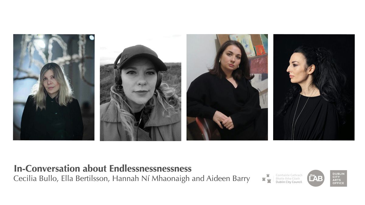 In-Conversation with Endlessnessnessness artists and Aideen Barry, The ...