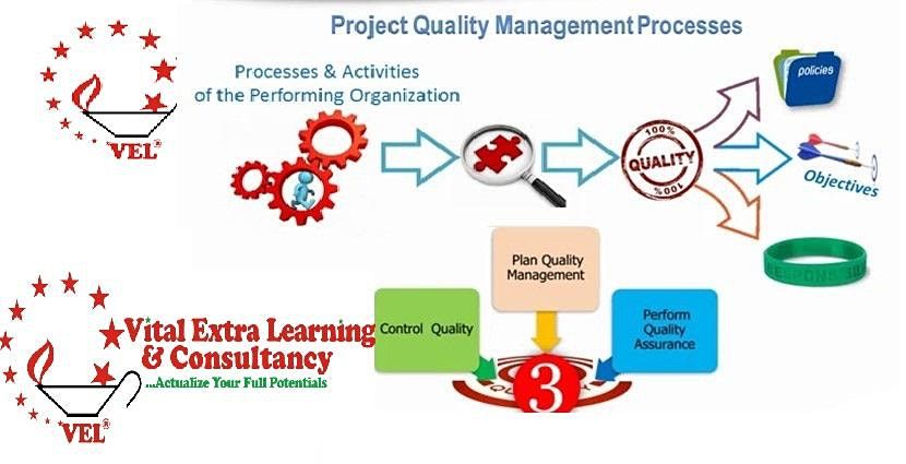Quality Management Skills in Business Projects and Programmes, Vital ...