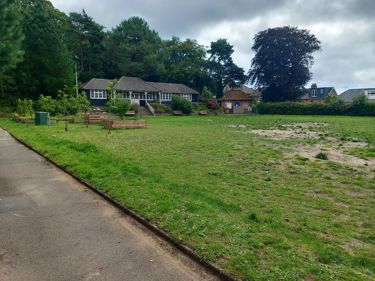 GreenFingers Tree/Hedge Planting at Alexandra Park, Alexandra Park ...
