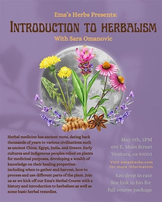 An Introduction to Herbalism with Sara Omanovic, 695 E Main St, Ventura ...