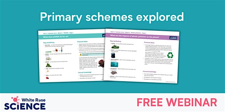 Science: Primary schemes explored, Online, 21 November 2024