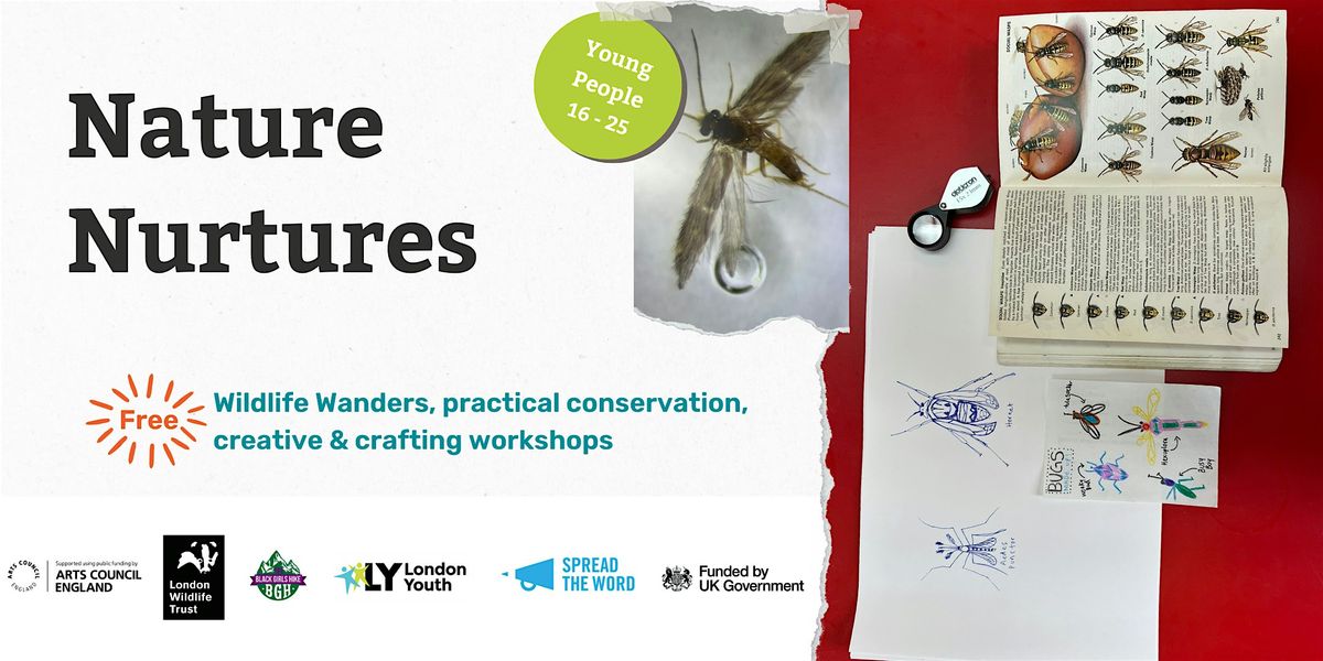 Buzz Map: Insect Identification and the Beauty of Bees, Walthamstow ...