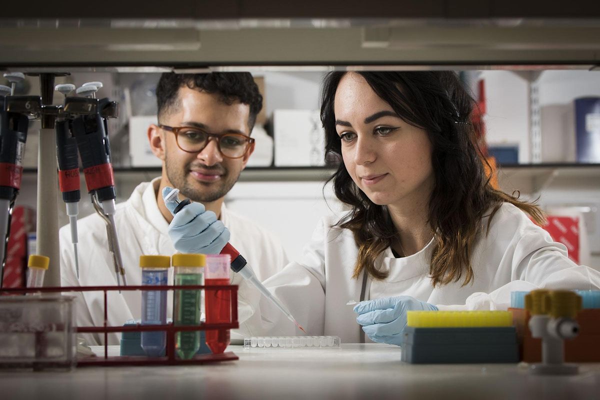 UCL MBPhD Recruitment Event: 2023 and 2024 entry, Room 210, 2nd floor ...