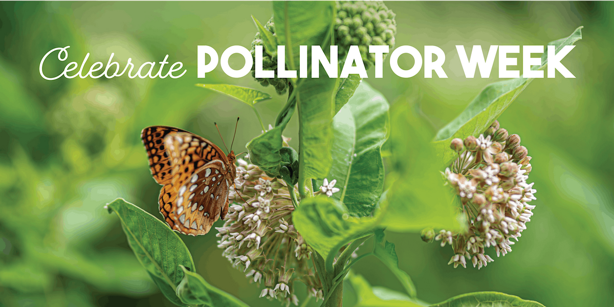 June 18 Pollinator Week Tour - Fair Oaks Location, Merrifield Garden Center, Fairfax, 18 June 2023