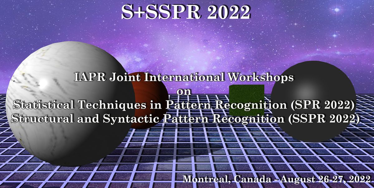 S+SSPR 2022: IAPR Joint International Workshops on SPR 2022 and SSPR ...