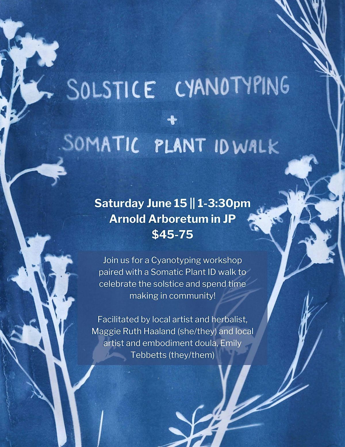 Solstice Cyanotype with Somatic Plant ID Walk, Arnold Arboretum of ...