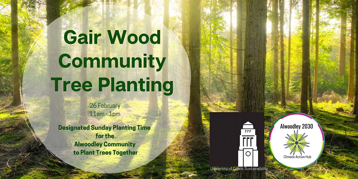 Alwoodley 2030 Gair Woods Tree Planting, LS16 8LZ, Leeds, 26 February 2023