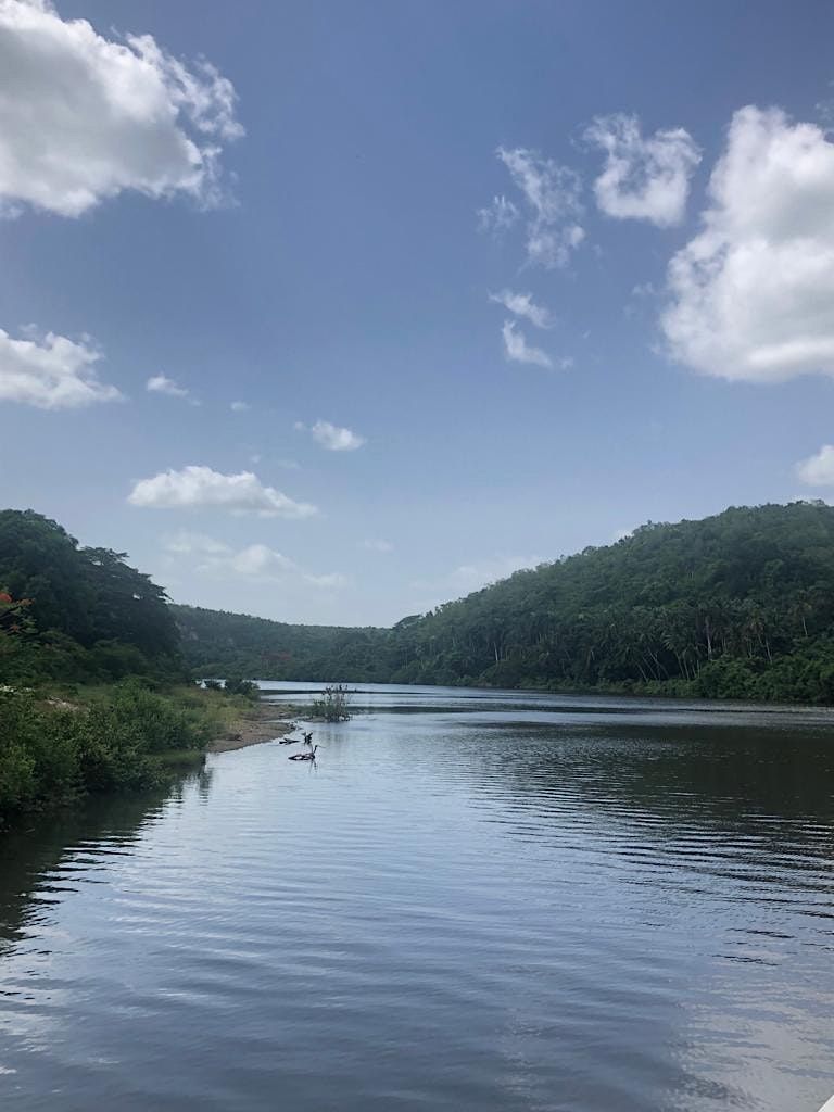Recorrido en barco por los manglares del Rio Soco, Ciudad Ganadera ...