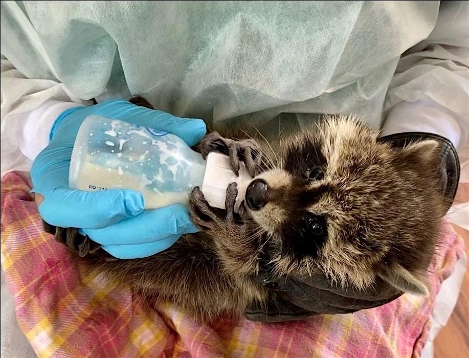 2024 Annual Gala, Waymire Dome, Brighton, 26 October 2024