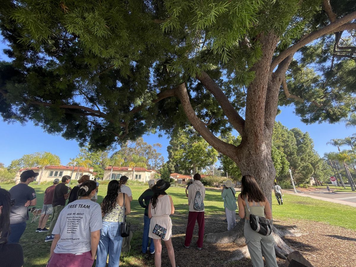 Tree Treks at Kate Sessions Park, Kate Sessions Park, San Diego, 11 May ...