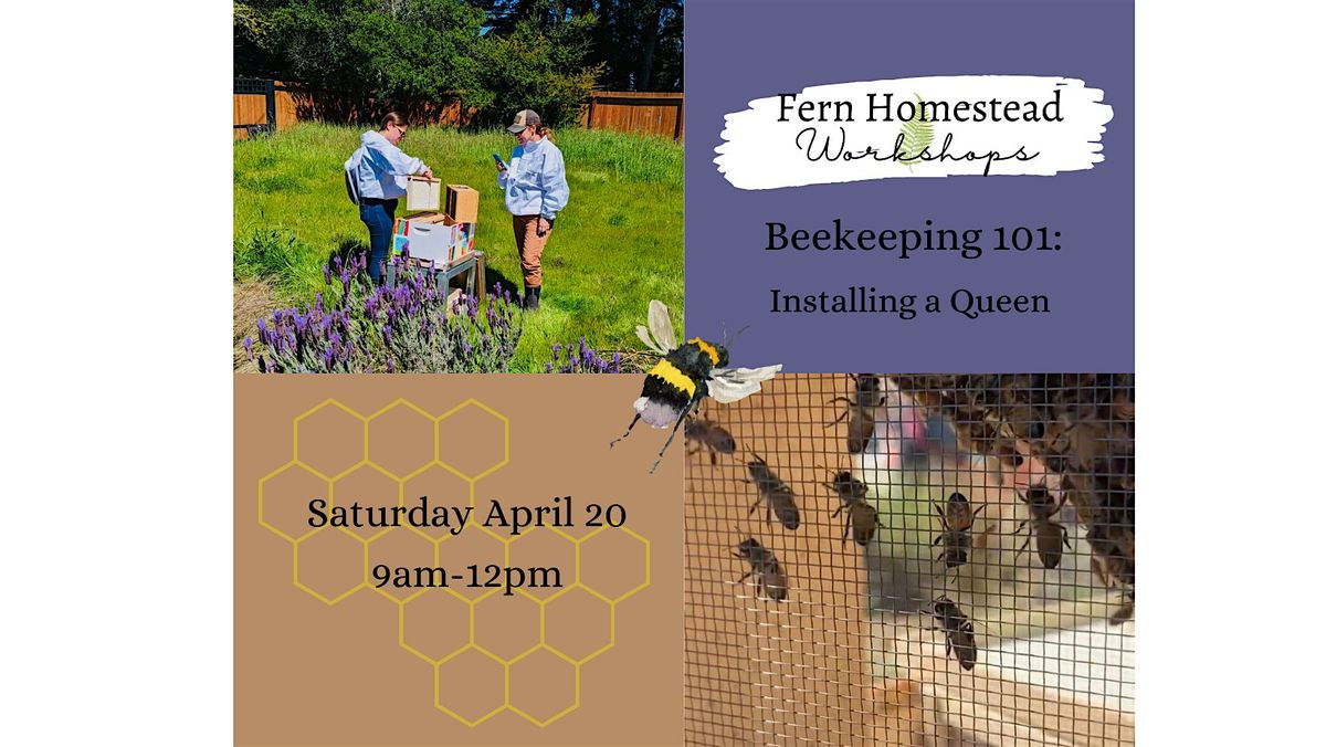 Beekeeping 101: Installing a Queen, 130 Fern Avenue, Penngrove, CA, USA, 20 April 2024