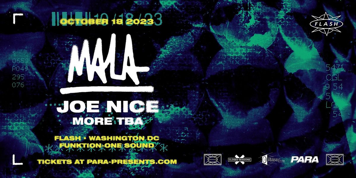 Mala and Joe Nice at Flash, Flash, Washington, 18 October to 19 October