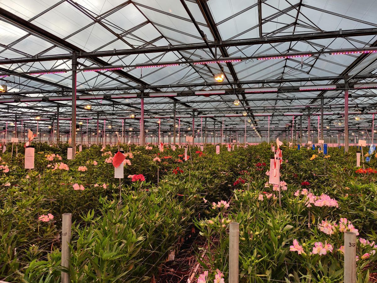 BlueTerra Tuinbouw Energiedag 2023, La Place De Meern A12, Utrecht, 10 March 2023