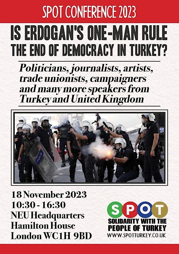 Is Erdogans one-man rule the end of democracy in Turkey?, Hamilton ...