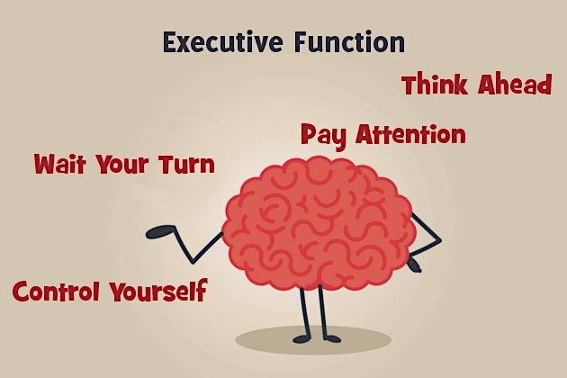 Whats All the Fuss About EF (Executive Function?) Pre-recorded, Online ...