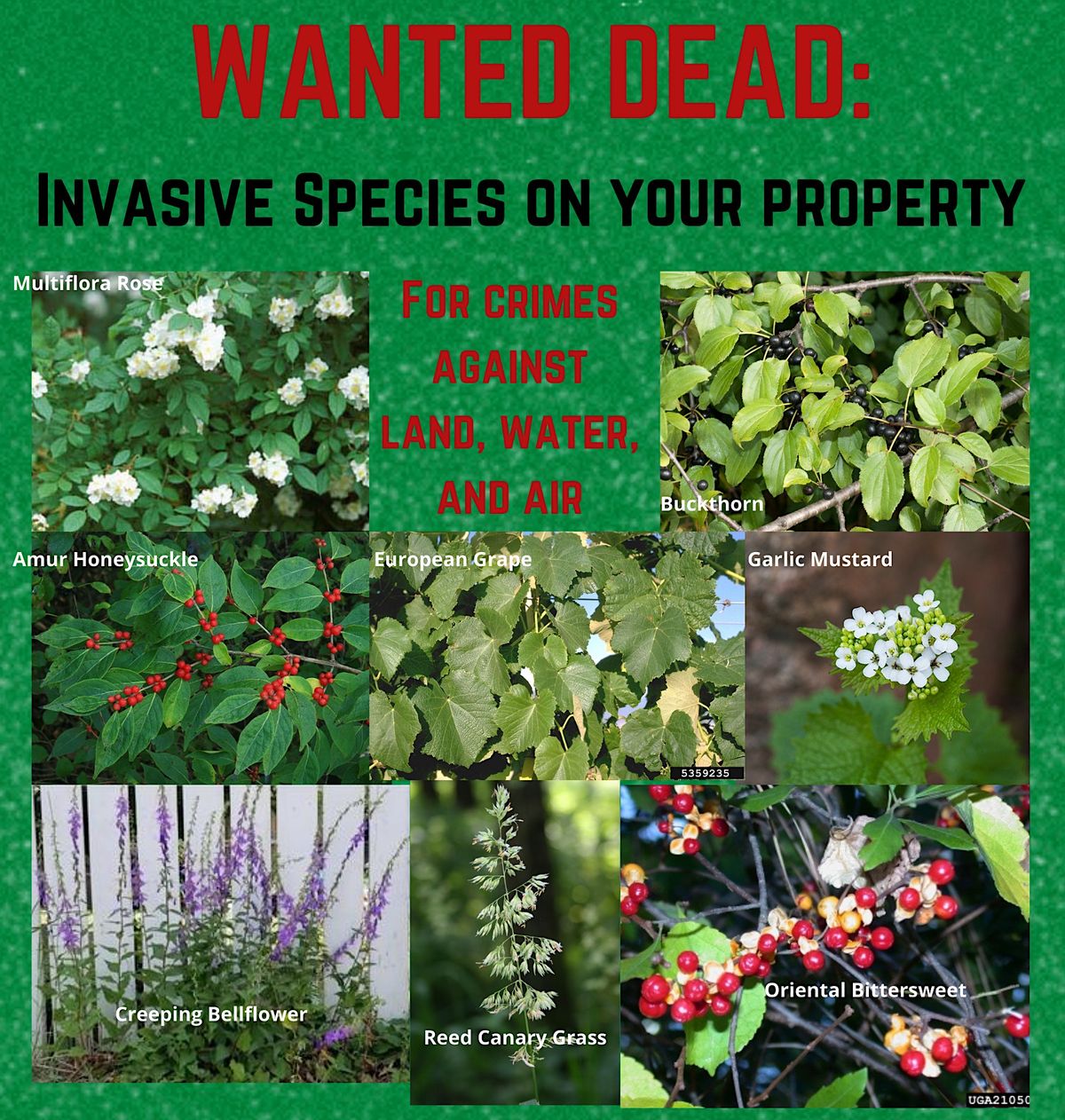 Wanted! Dead or Dead. Invasive Species On Your Property, Online, 19 ...