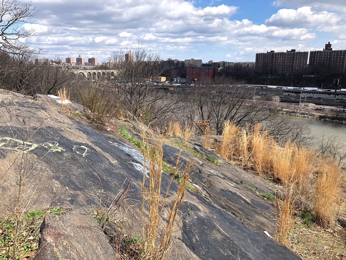 Highbridge Park - Plant Identification & Management Workshop: June ...