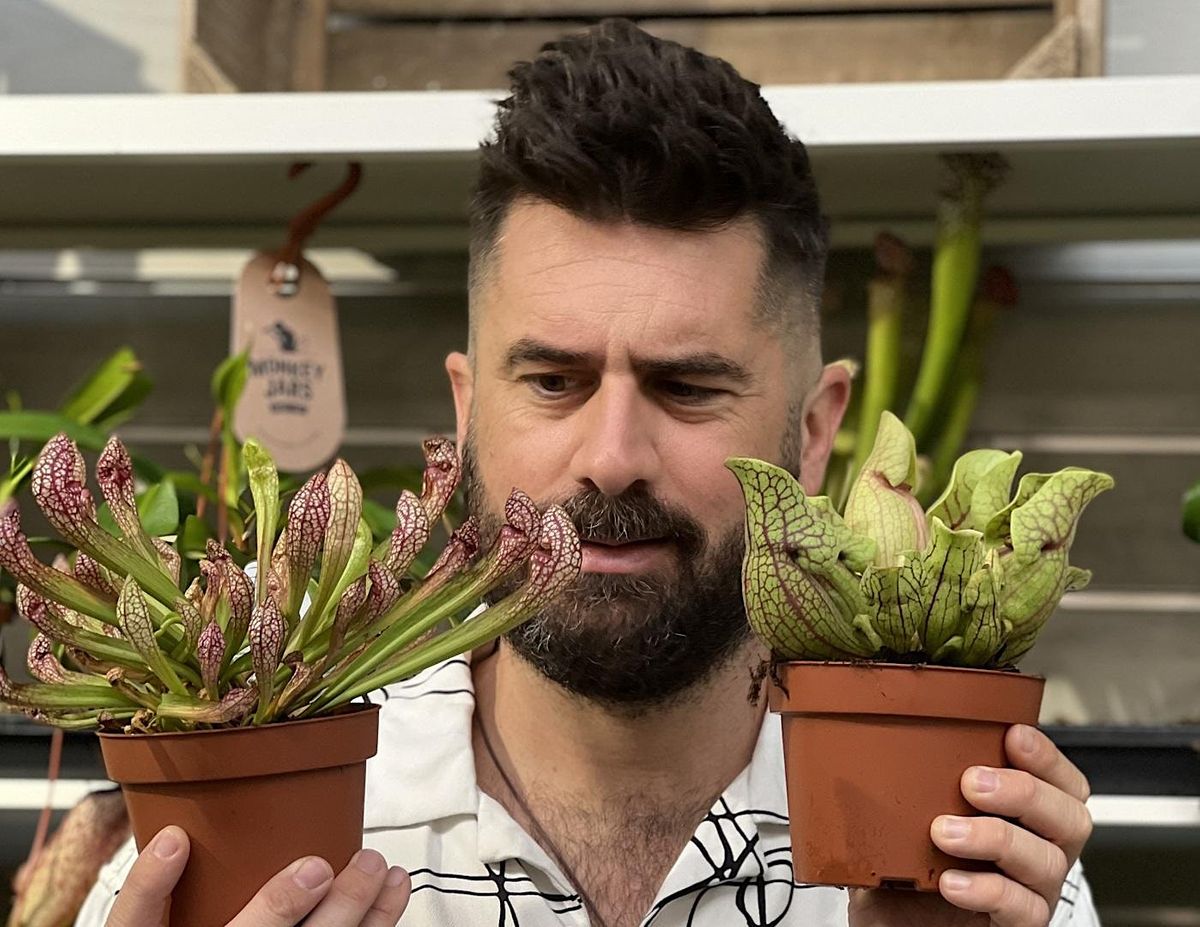 Combined Weird and Wacky Plant Show AND Barakura style workshop and ...