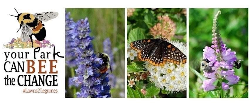 Plant the "Turf to Pollinator Garden" at Minnehaha Park on Th, May 30 ...