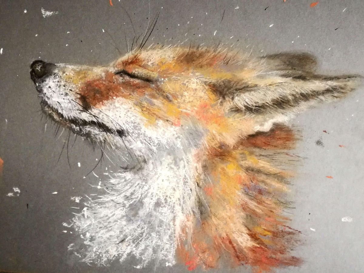 Animal Illustration: Drawing Character & Story Telling with Lindsay ...