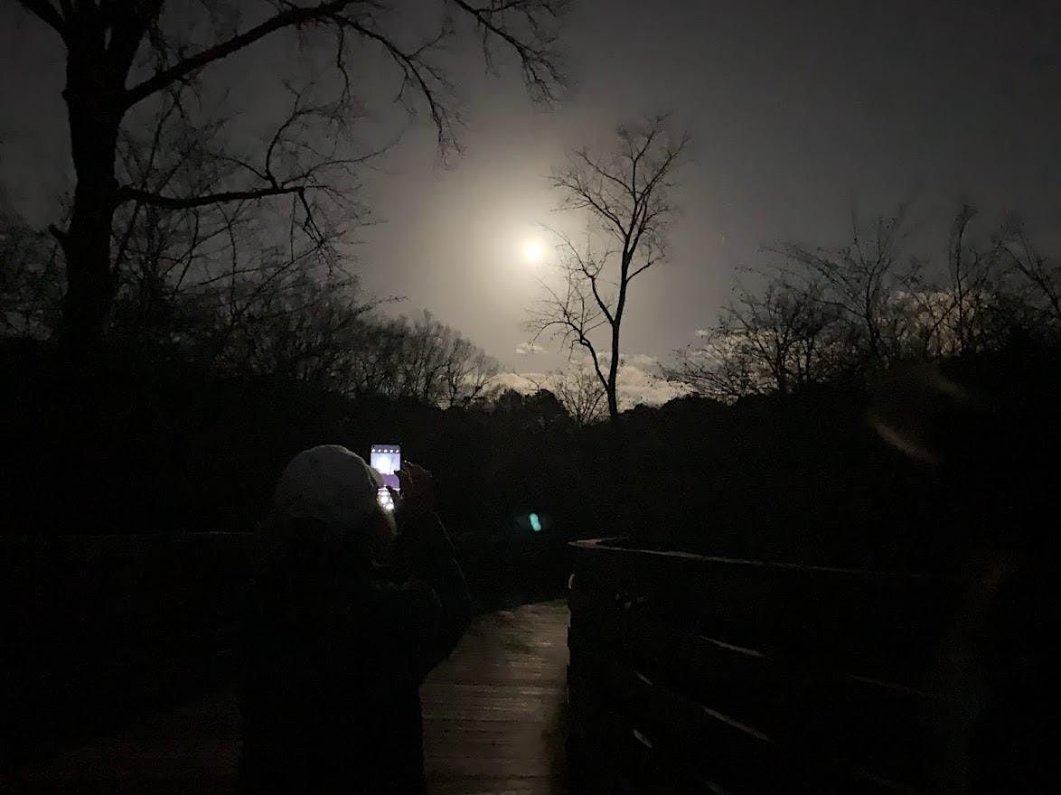 Full Moon Night Walk at Mason Mill Park, Mason Mill Park - South ...