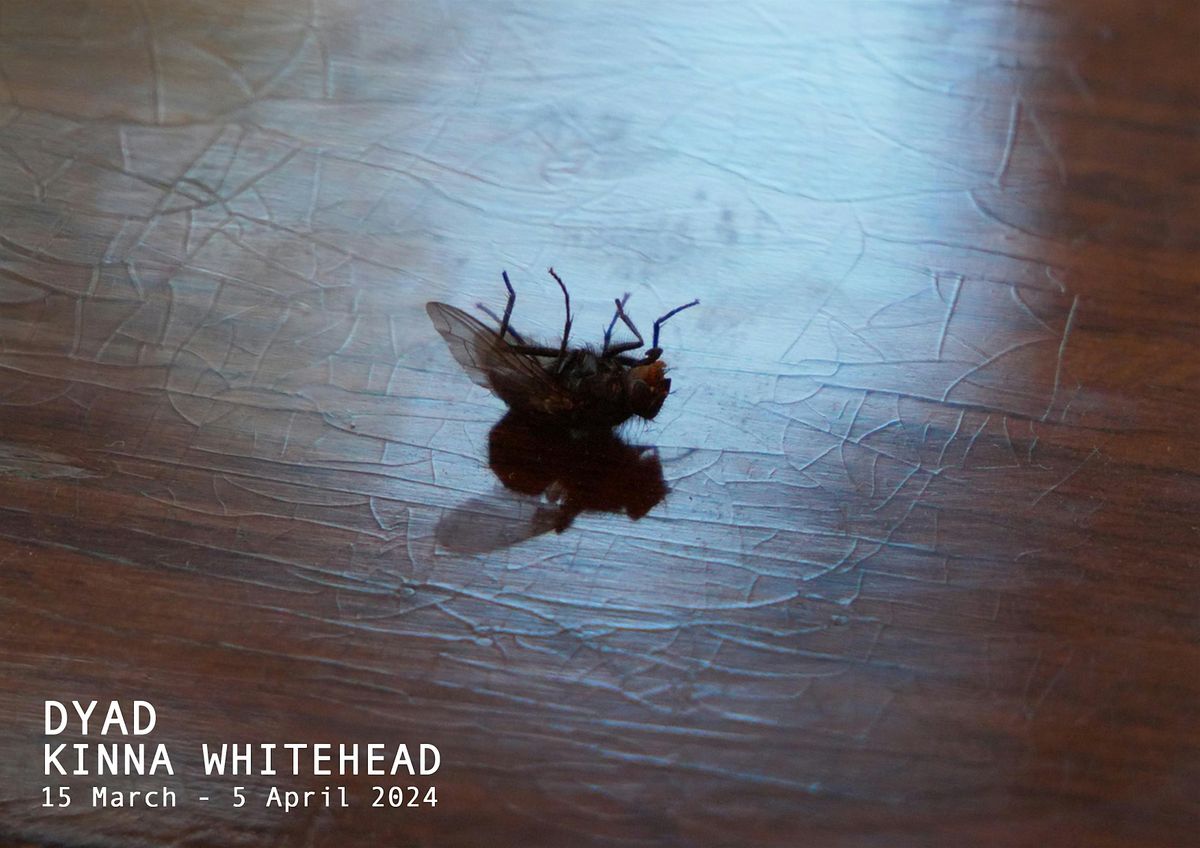 Dyad, an exhibition by Kinna Whitehead: Private View, T Street Gallery ...