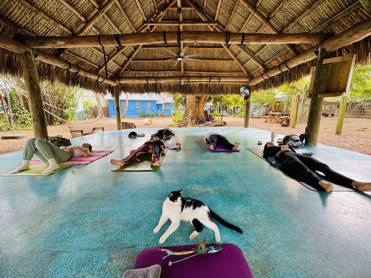 Yin Yoga & Meditation in Nature - Donation based, Earth 'n' Us Farm ...