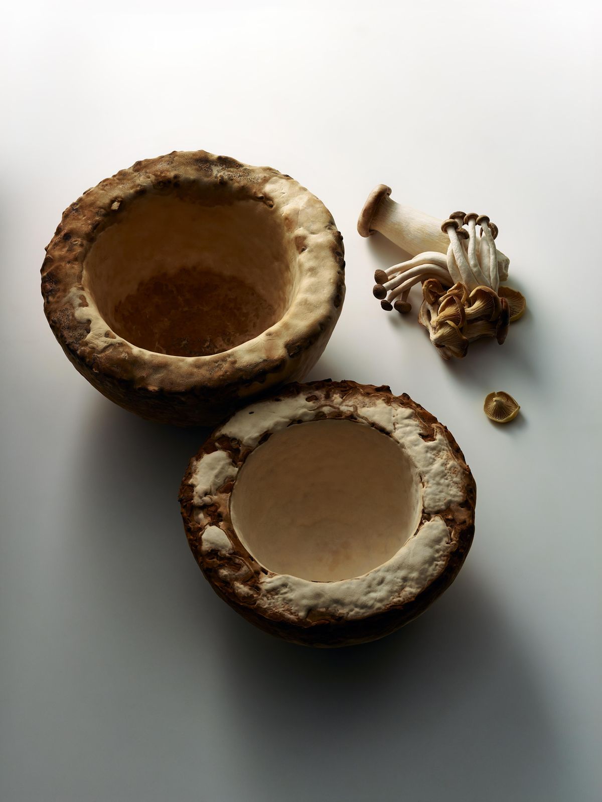 MYCELIUM UNEARTHED : Cast your own mycelium objects (Beginners), OSMOSE STUDIO SHOWROOM, London ...