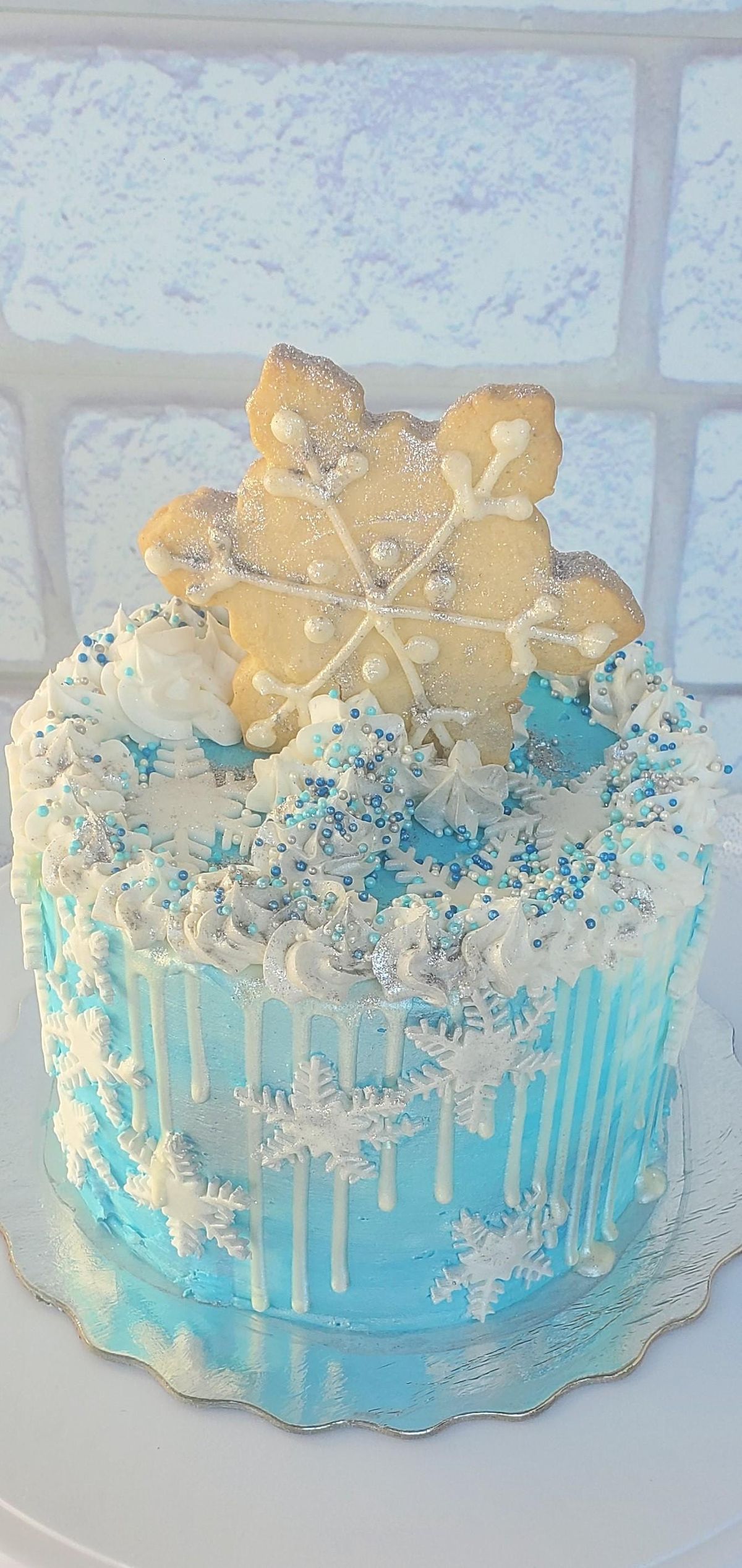 Parent & Me Snow Themed Drip Cake with a Sugar Cookie Cake Topper, Fran ...