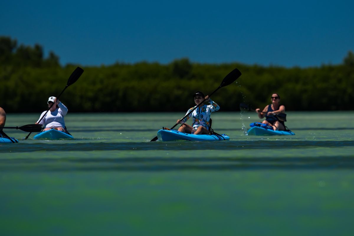 Kayak Day Tour at Shell Key with Capt Yak, 2828 Pinellas Bayway S ...