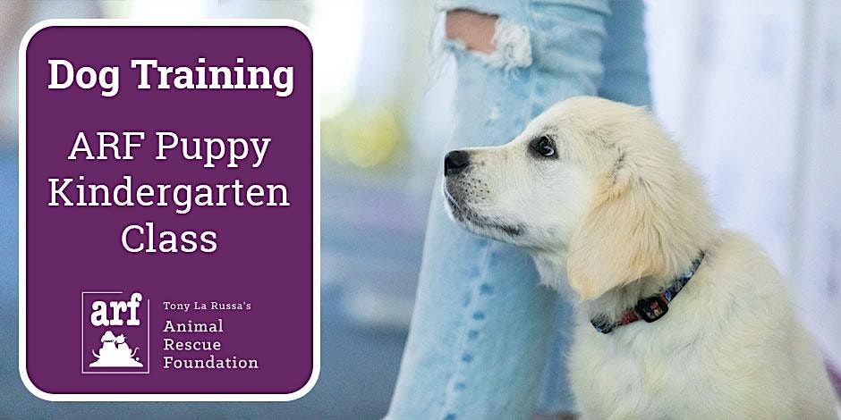 ARF Puppy Kindergarten, Tony La Russa's Animal Rescue Foundation ...