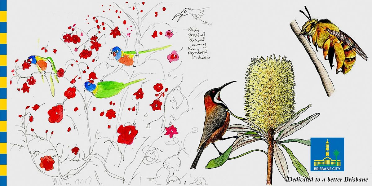 Spring comes to Mt Coot-tha: Nature journaling flowers and pollinators ...