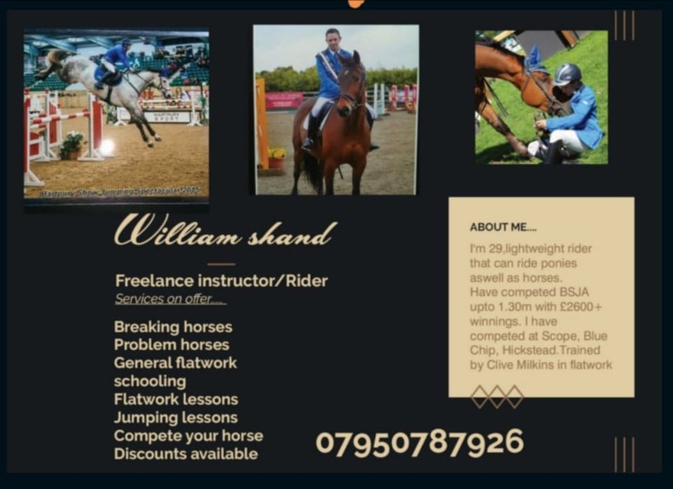 Grid poles & course jumping clinic, Kingswood Equestrian Centre ...